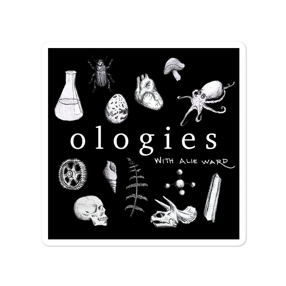 Ologies Logo Stickers