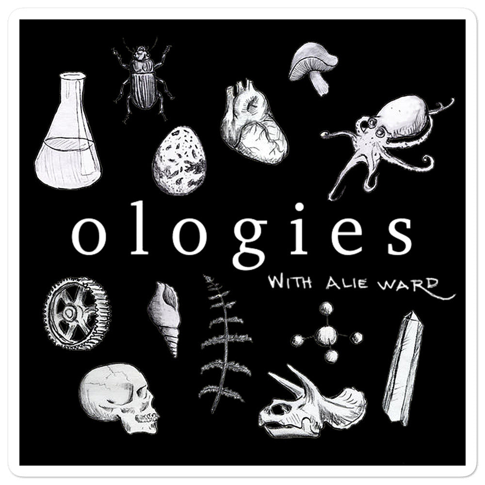 Ologies Logo Stickers